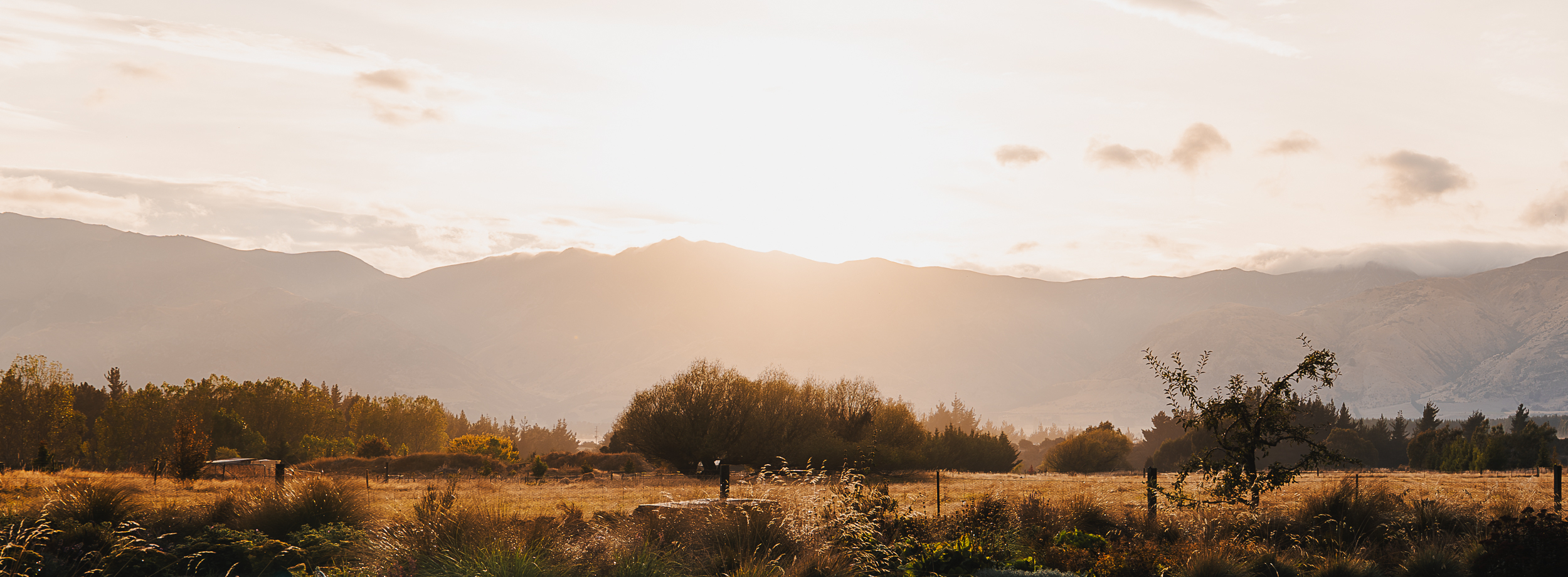 A Lake Hāwea Garden - Xanthe White Design