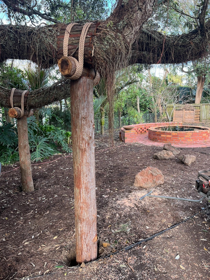 The Art Of Propping Trees - Xanthe White Design