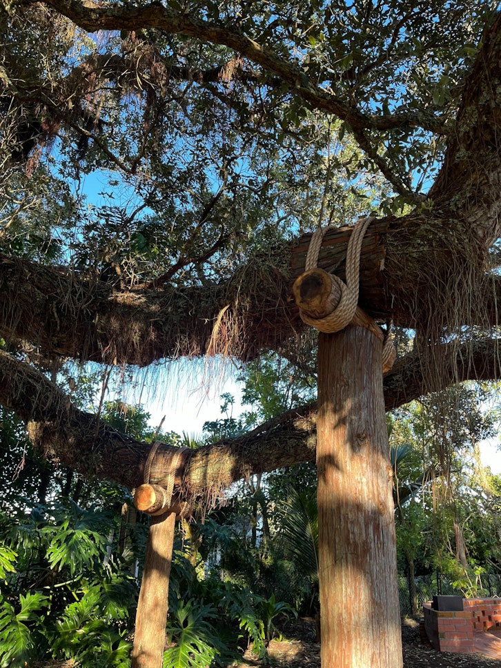 The Art Of Propping Trees - Xanthe White Design