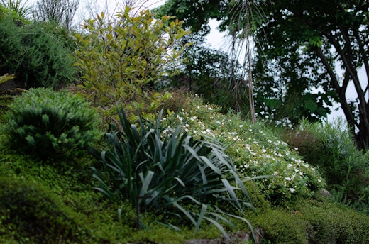 Projects: Xanthe White Landscape Design - Xanthe White Design