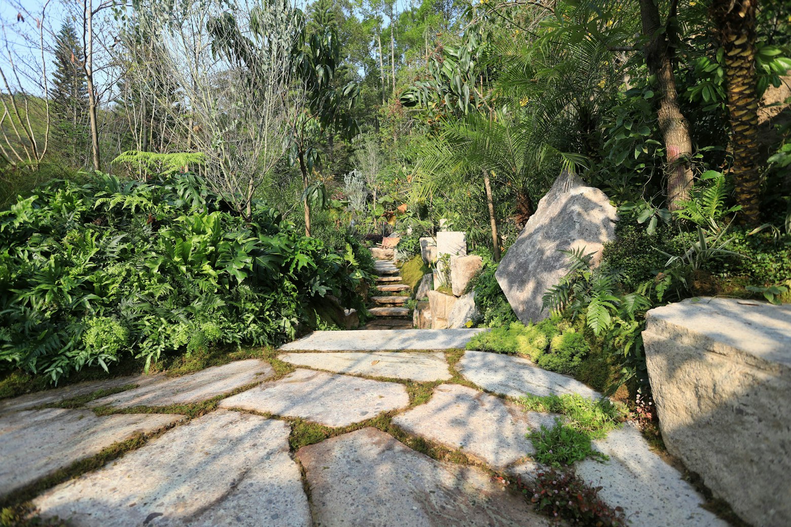 Projects: Xanthe White Landscape Design - Xanthe White Design