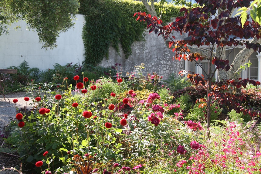 Projects: Xanthe White Landscape Design - Xanthe White Design