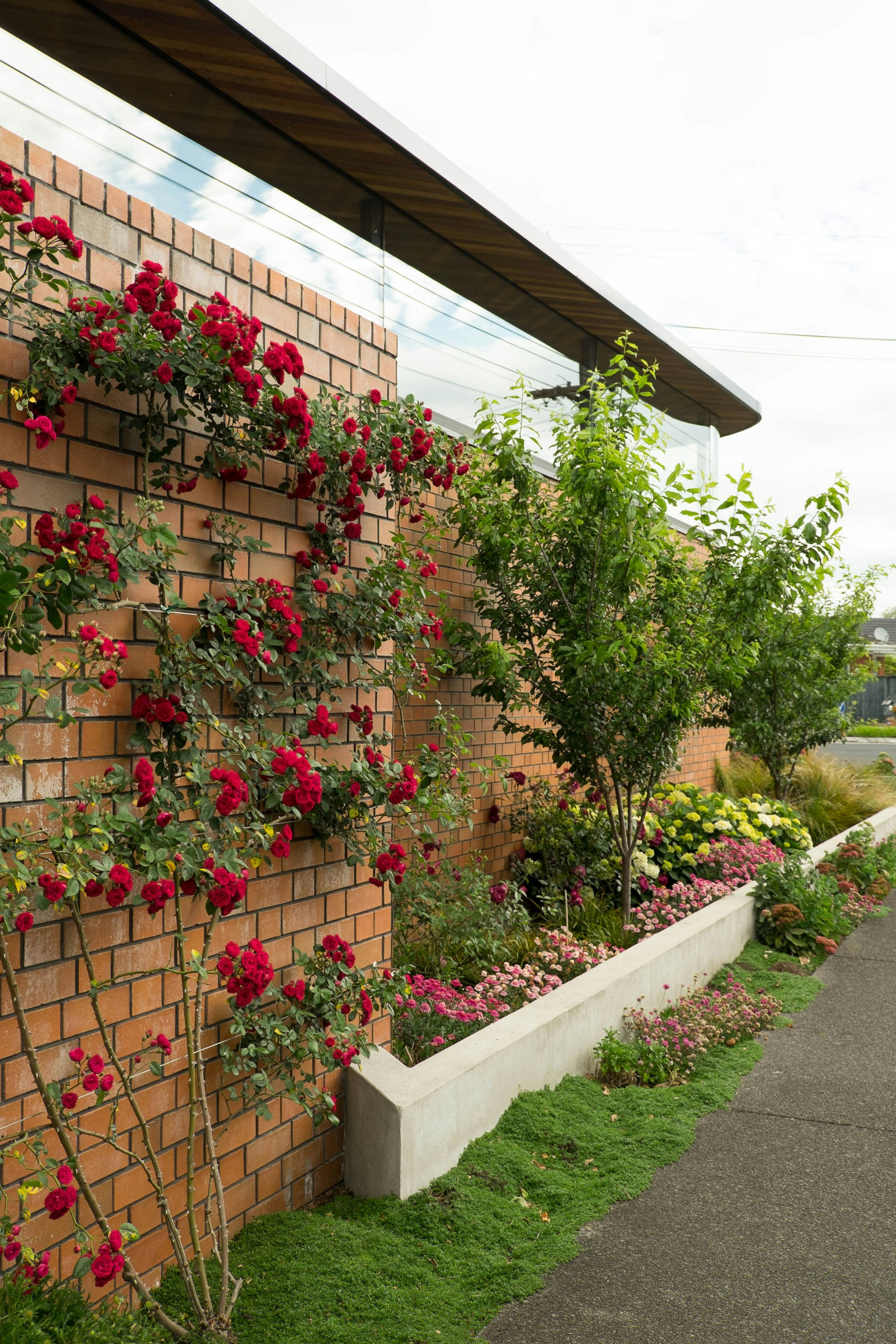 Projects: Xanthe White Landscape Design - Xanthe White Design