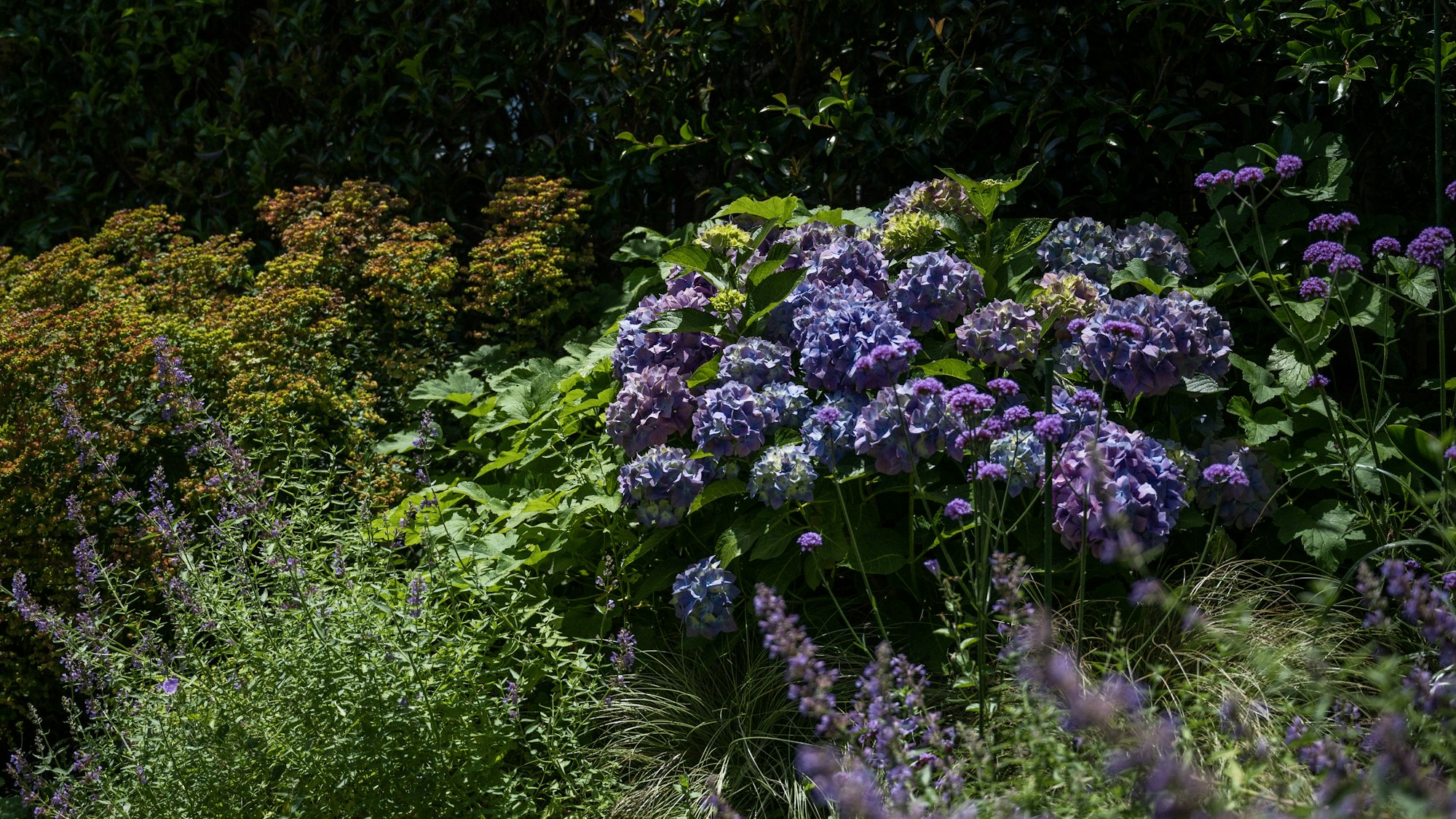 Dorse - Xanthe White Design