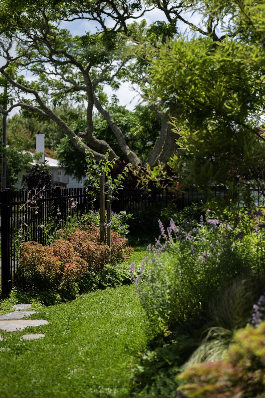 Dorse - Xanthe White Design