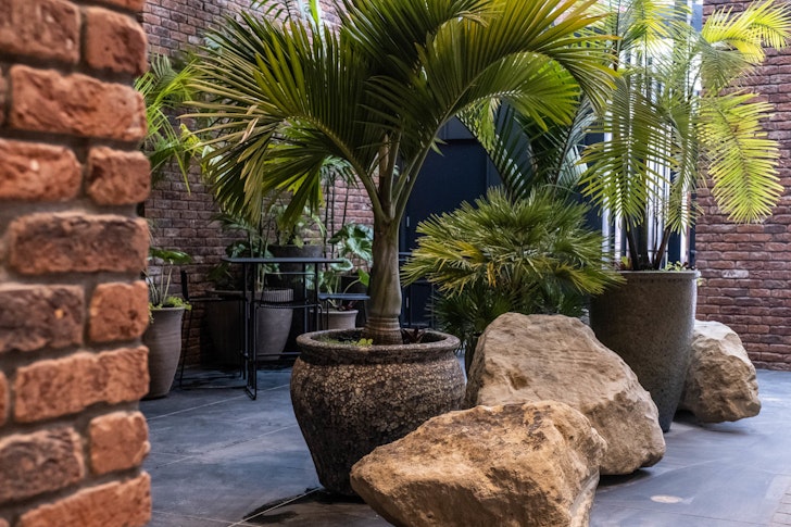 Projects: Xanthe White Landscape Design - Xanthe White Design