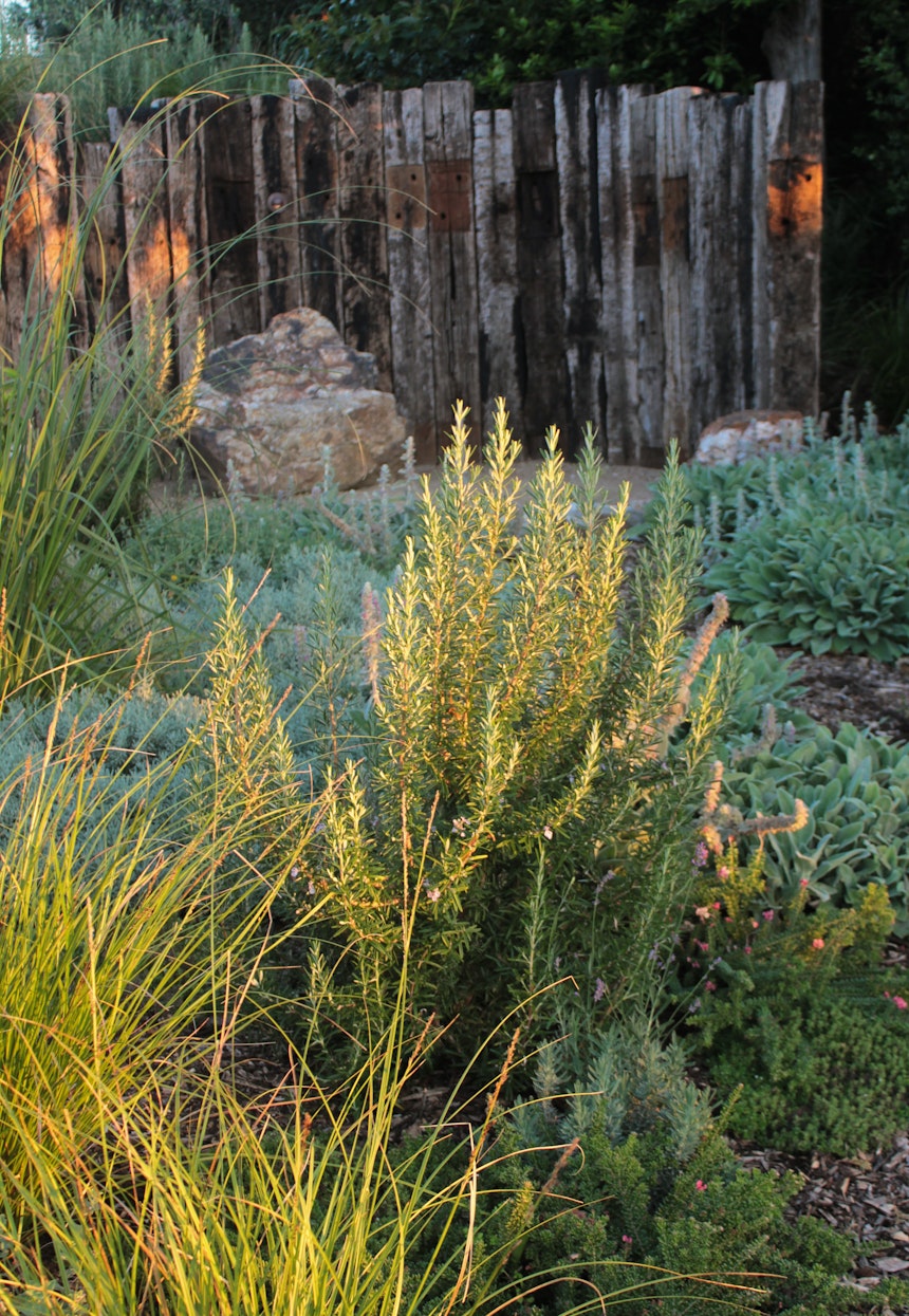 Oneroa - Xanthe White Design