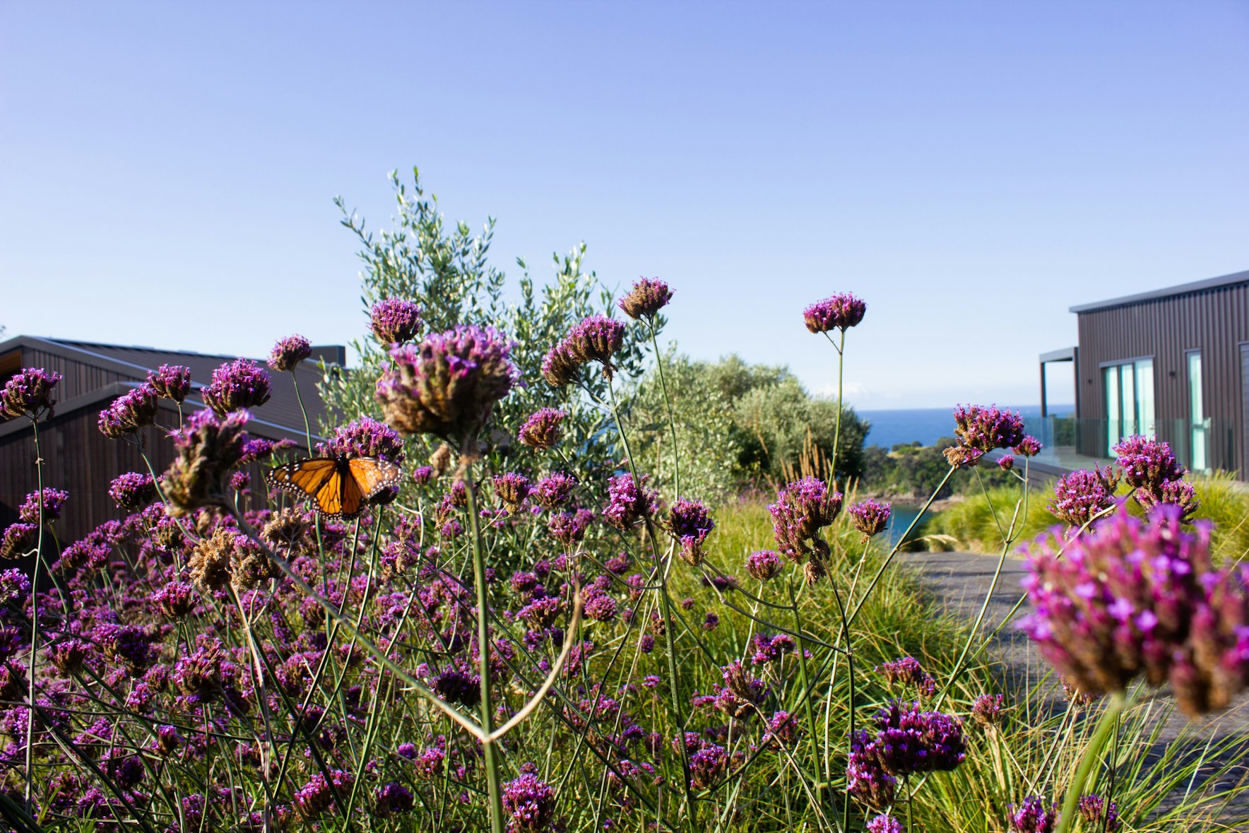 Oneroa - Xanthe White Design